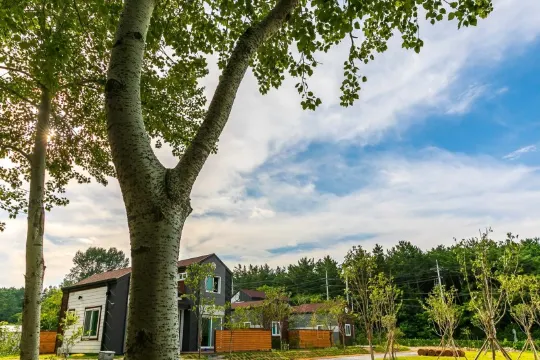 Pohang Little Forest Pool Villa Pension - 흥해읍