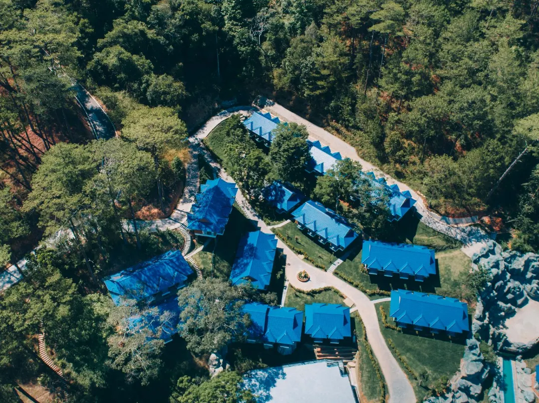 Tea Resort Prenn - Dalat