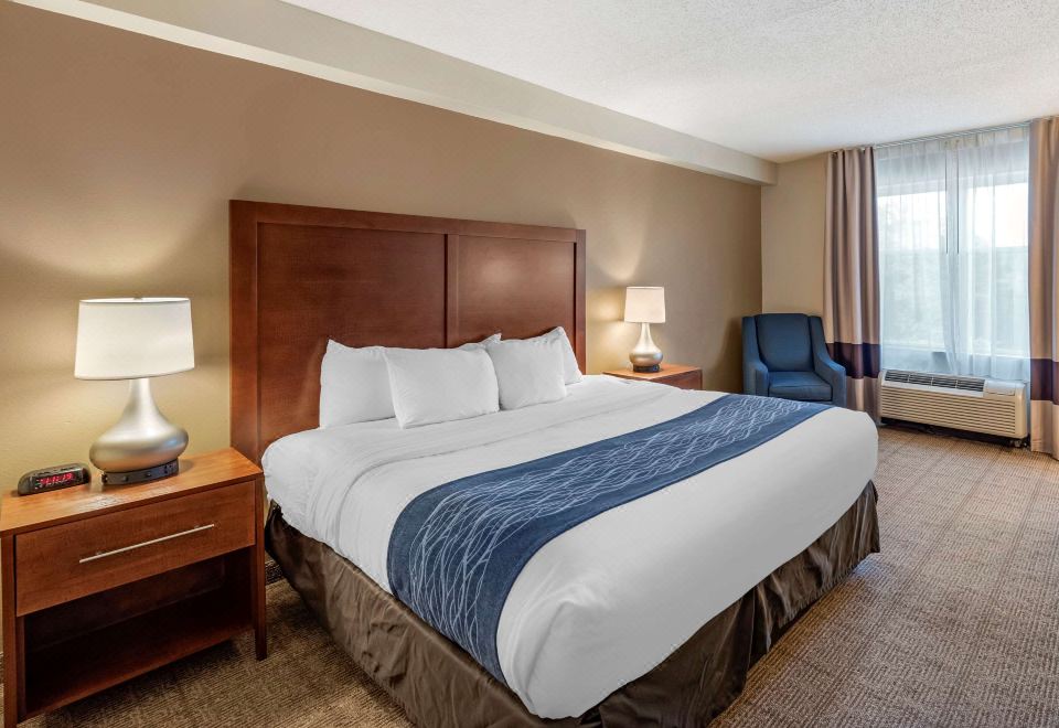 Comfort Inn & Suites Virginia Beach - Norfolk Airport - Virginia Beach ...