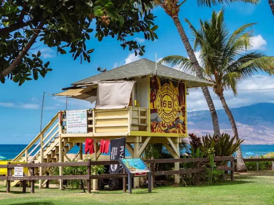 Ocean Views And Upscale Comfort - Stunning Island Retreat - Hawaii