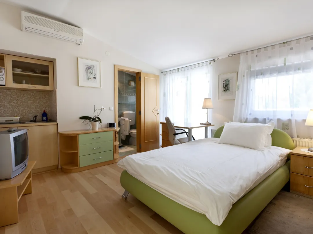 Aparthotel Vila Minka - Ljubljana