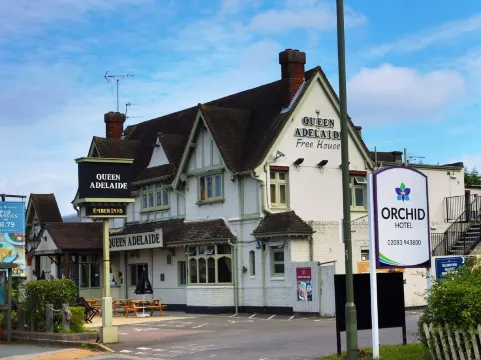 Orchid Epsom, Sure Hotel Collection By Best Western - Surbiton