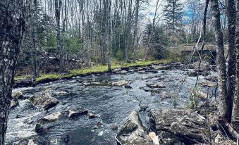 Blue Cabin by the Brook in Surry close to Acadia National Park and Bar ...