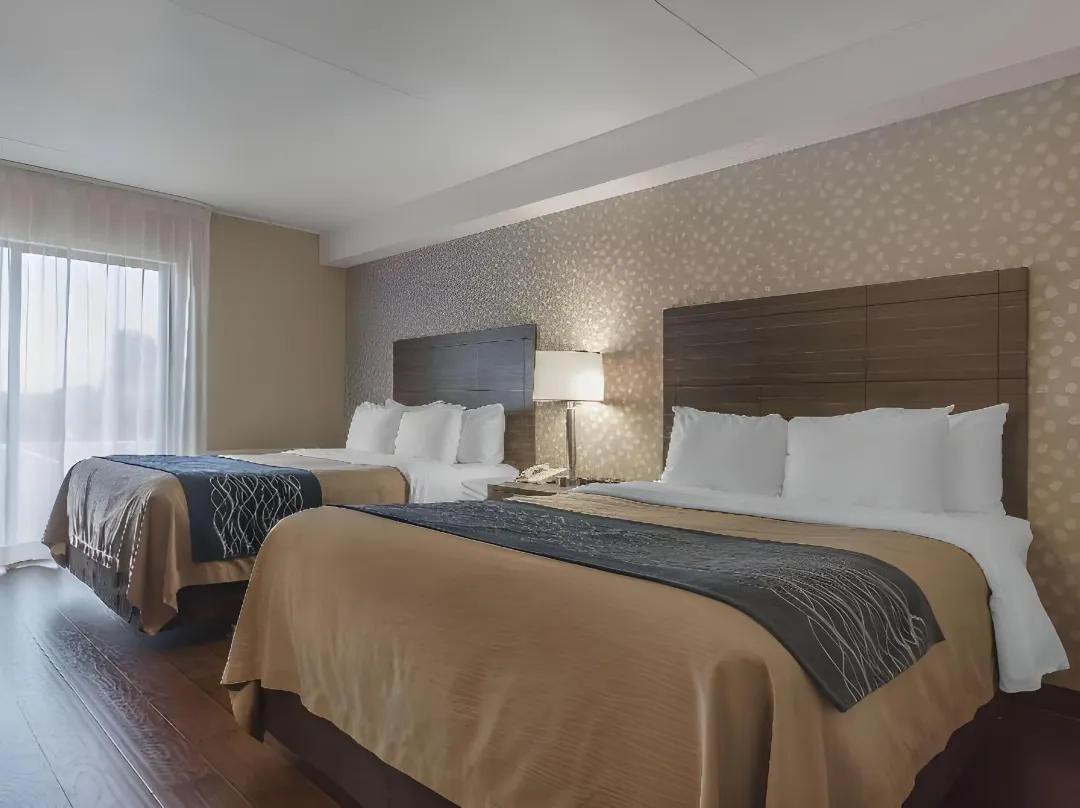 Comfort Inn - Levis
