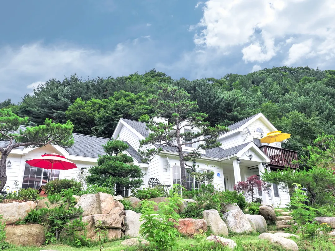 Inje Flower Star White - Inje-gun