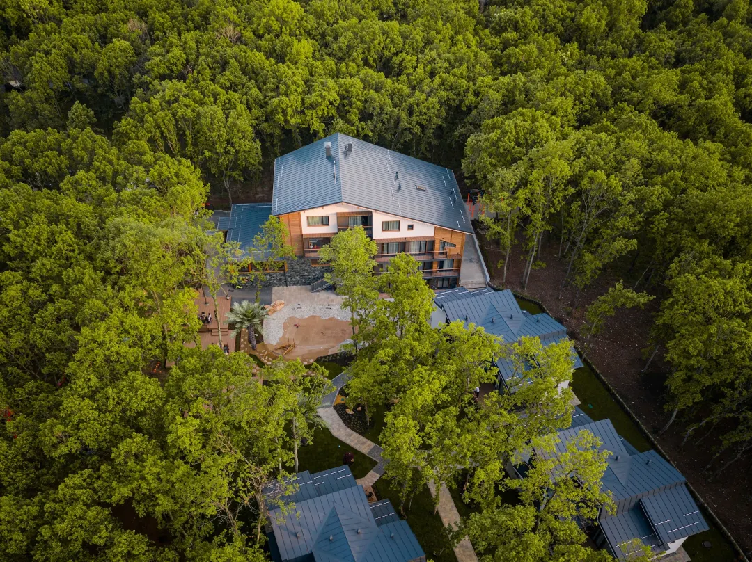 Utopia Forest - Burgas