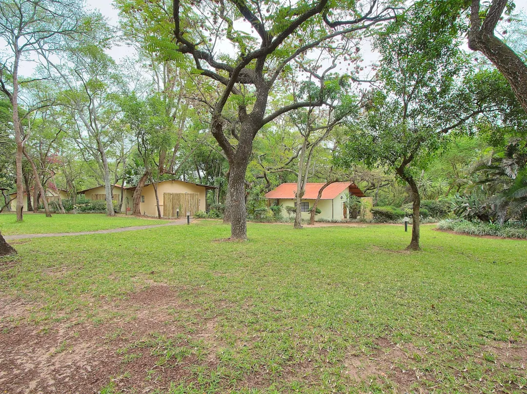 Kruger Adventure Lodge - Hazyview
