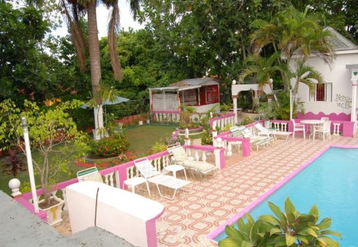Pink Hibiscus Villa,Montego Bay - Updated 2024 Reviews & Prices | Trip.com