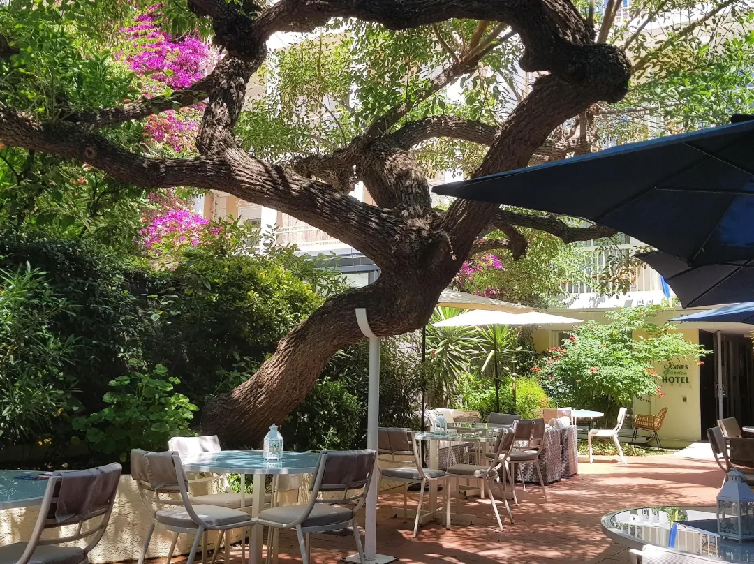Hôtel Jardin Croisette Cannes / Hôtel 3 éToiles - Restaurant Proche Croisette Cannes - Cannes