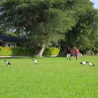 Latest Haile Resort Ziway Map,Address, Nearest Station & Airport 2024 ...