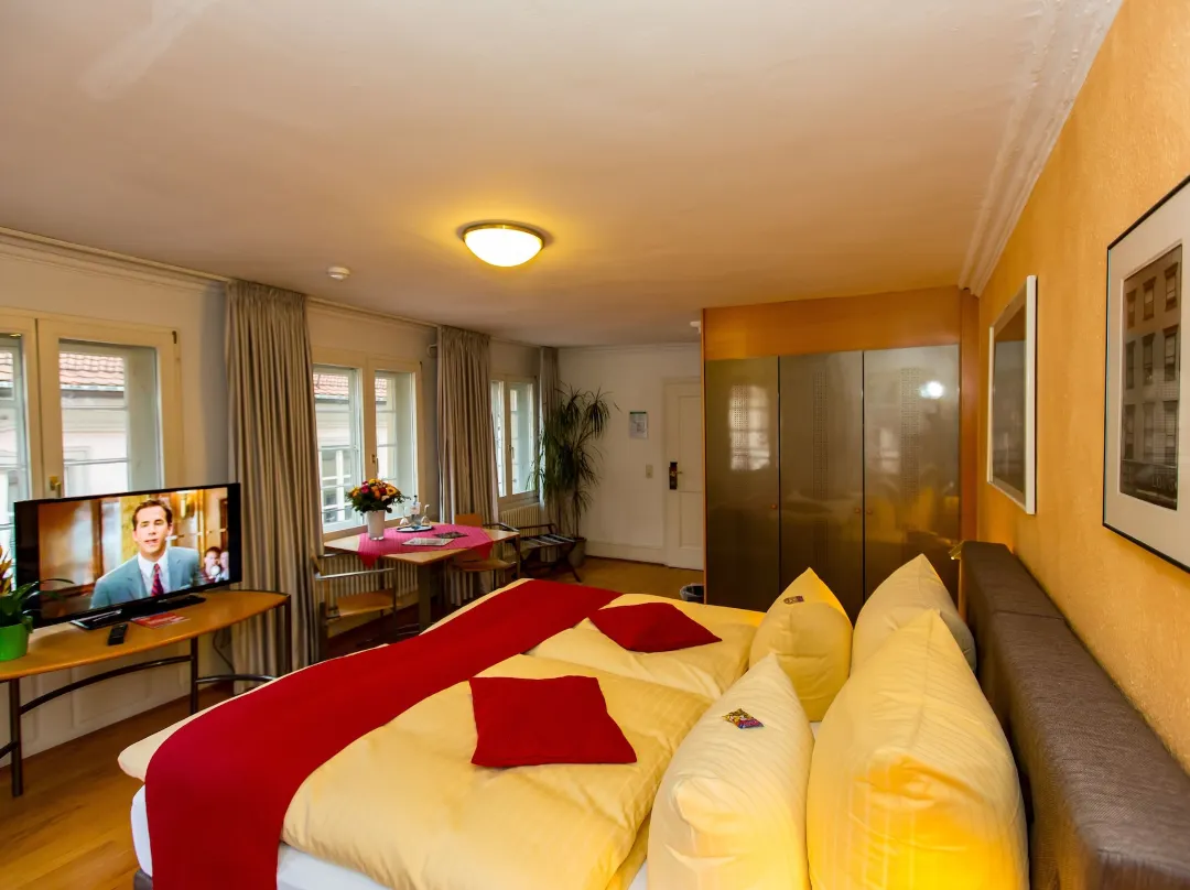 Hotel Goldener Falke - Heidelberg