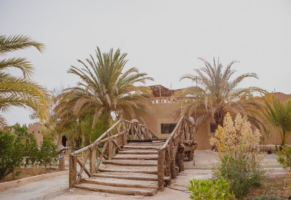 Siwa Shali Resort,Siwa Oasis - Updated 2024 Reviews & Prices | Trip.com