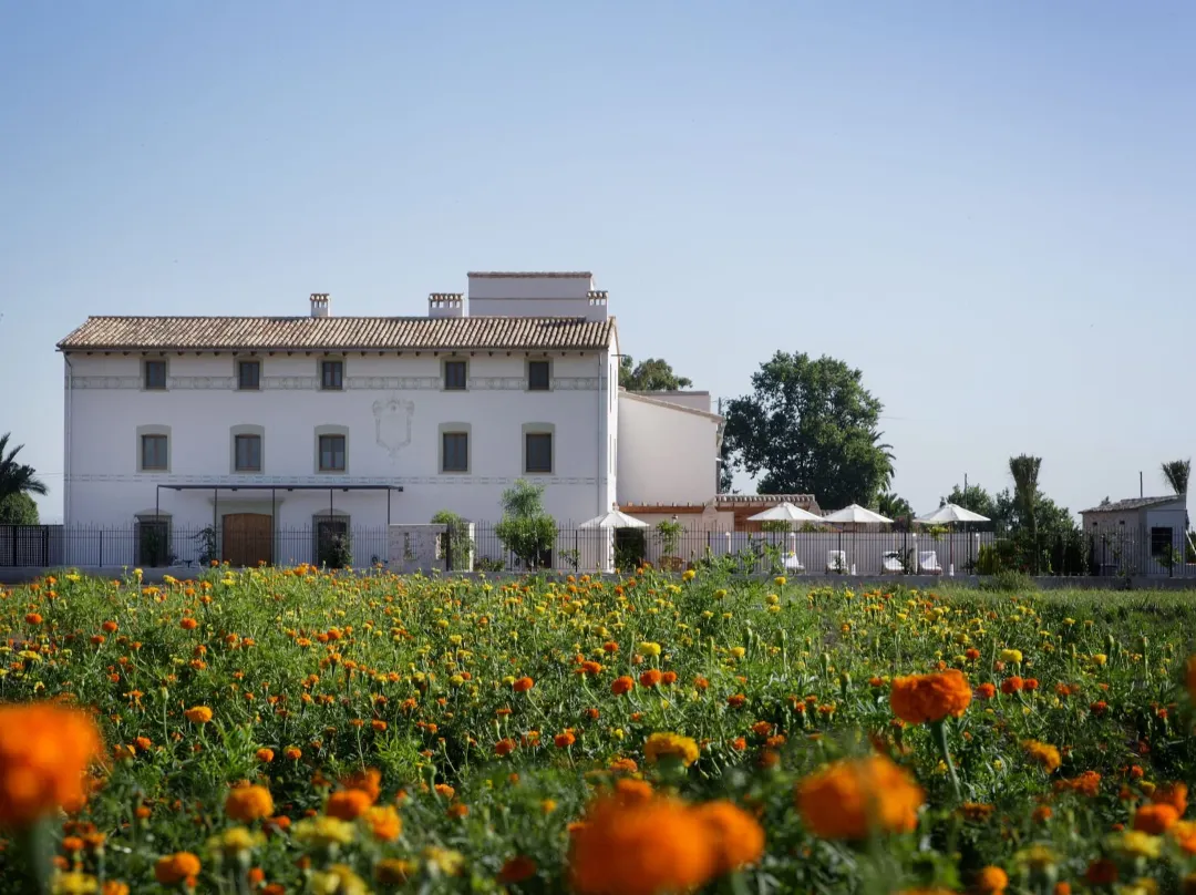La Mozaira - Valencia