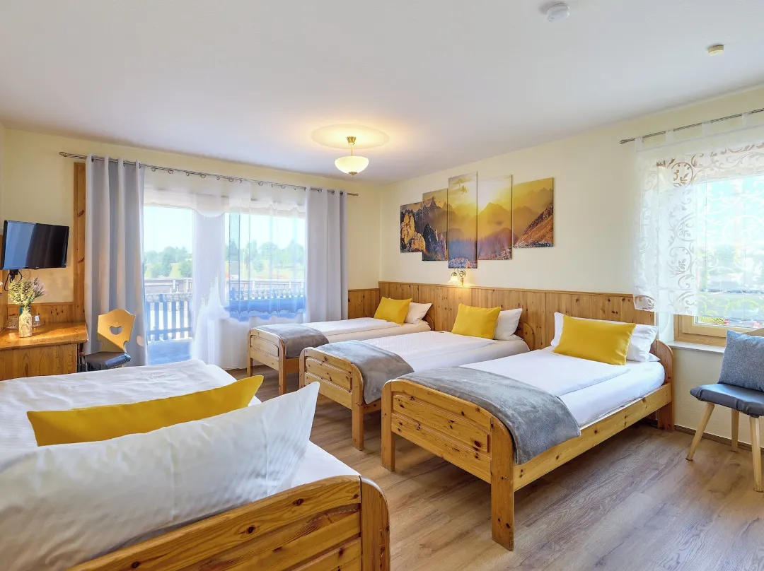 Airport-hotel Fortuna - Hahn