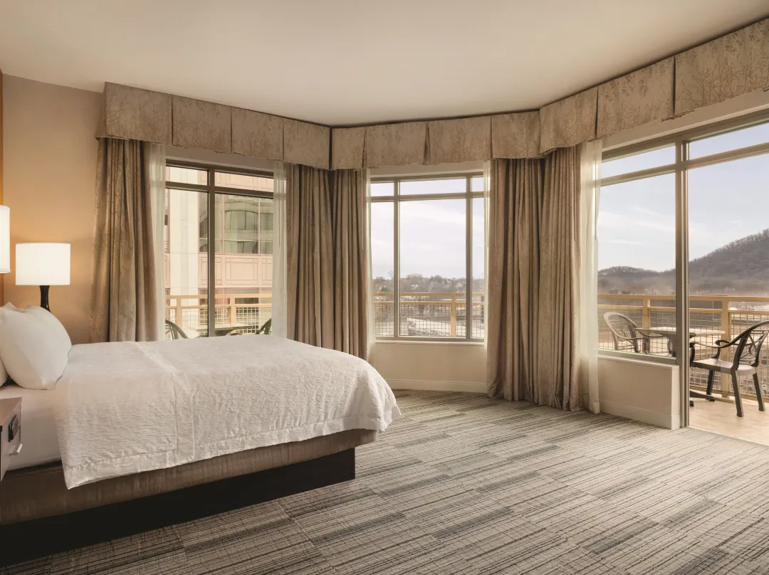 Hampton Inn & Suites Roanoke Downtown - Roanoke, VA