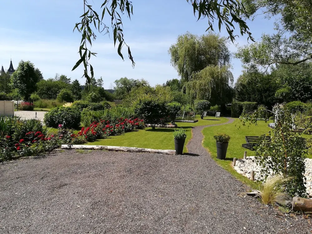 Cléome - Normandy