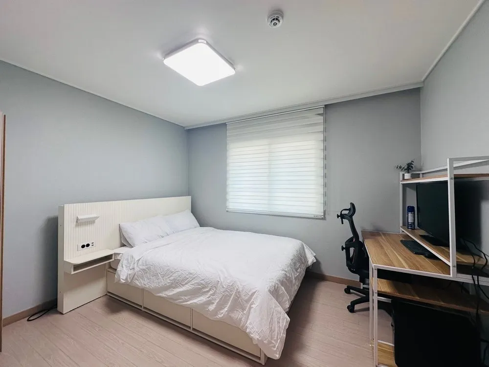 Rodem Free - Paju-si