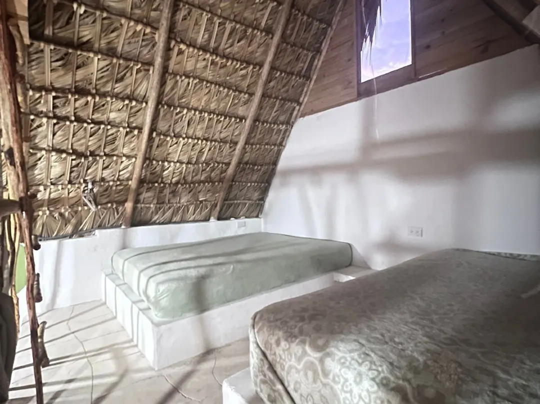 Blue Beach Eco-hotel By Sanfabini - Dominican Republic