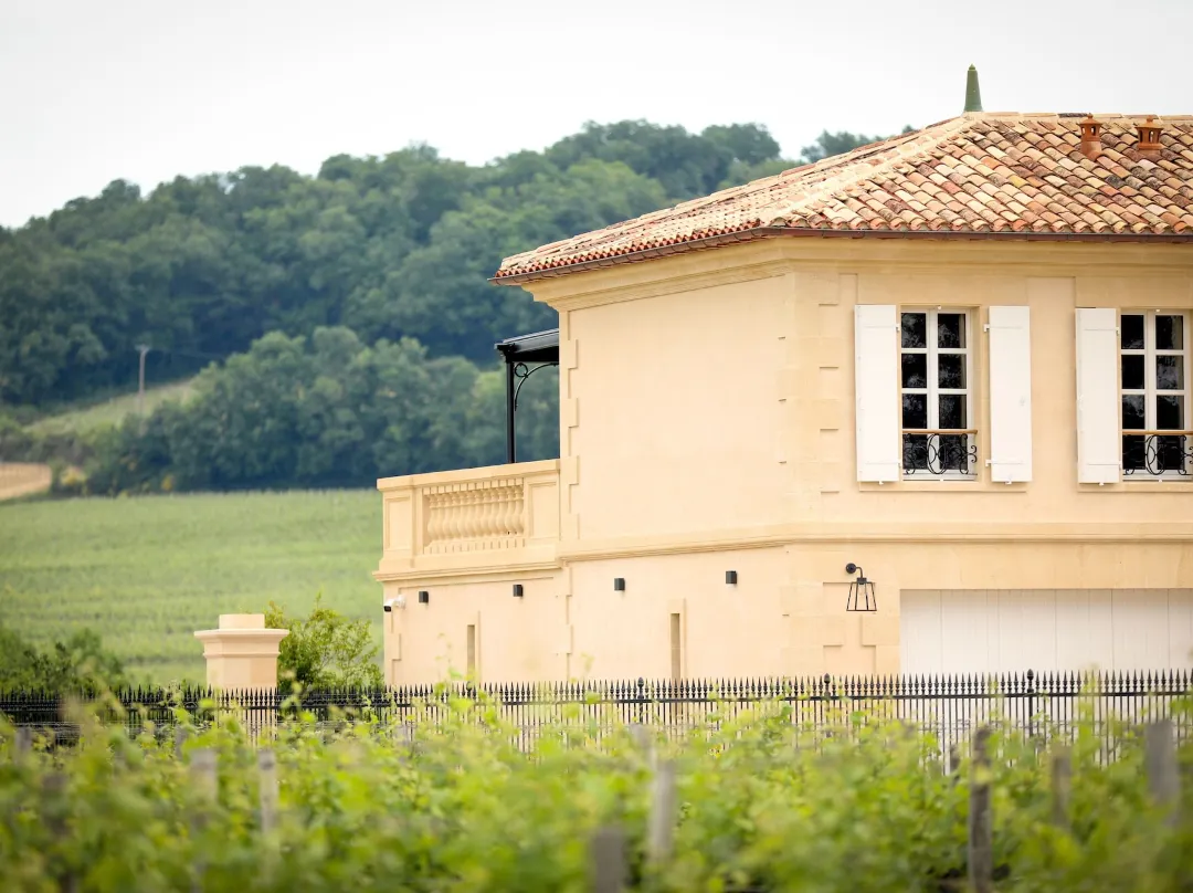 Petit Monlot - Saint-Émilion