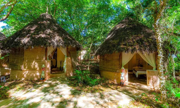 Nomad Beach Resort, Diani Beach (Prices & Reviews 2024) | Trip.com