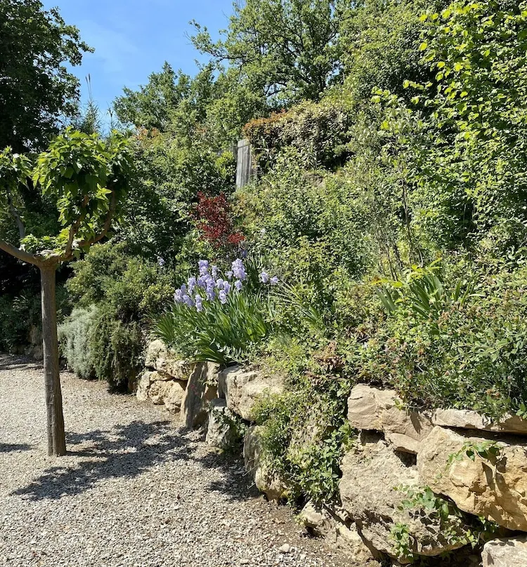 Le Jardin De Lau - Carpentras