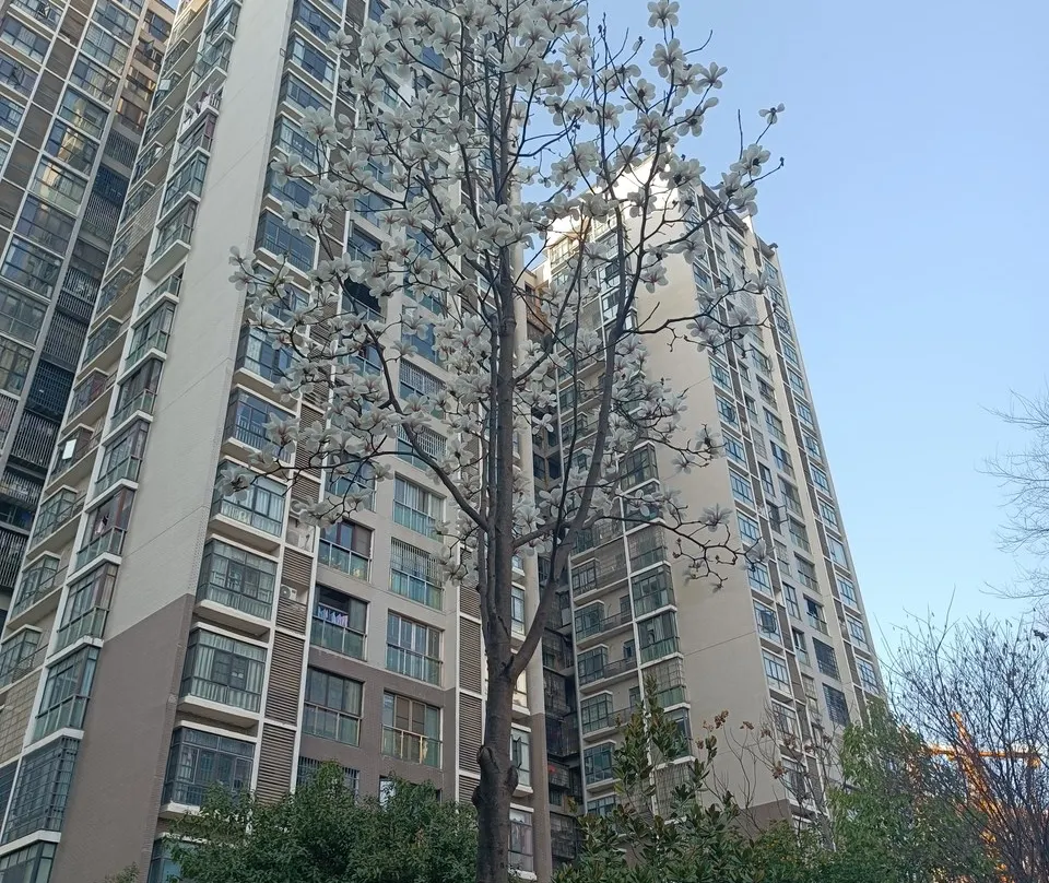 Qingyaxuan Homestay - Zhangjiajie