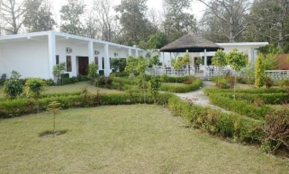 Dtr Jungle Hideaways | 2025最新訂房優惠｜Bhira住宿推薦 - Trip.com
