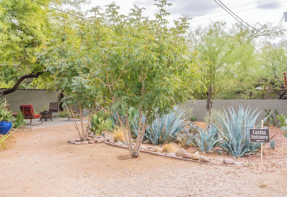 Cactus Garden Getaway: Sam Hughes Studio - Minutes to the Gem Show ...