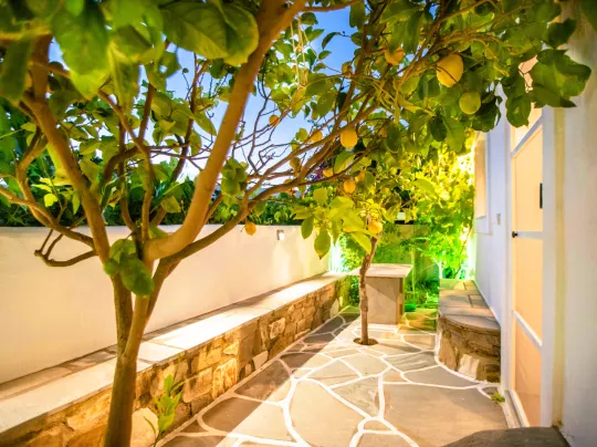 Comfort Double Or Twin Room - Paros