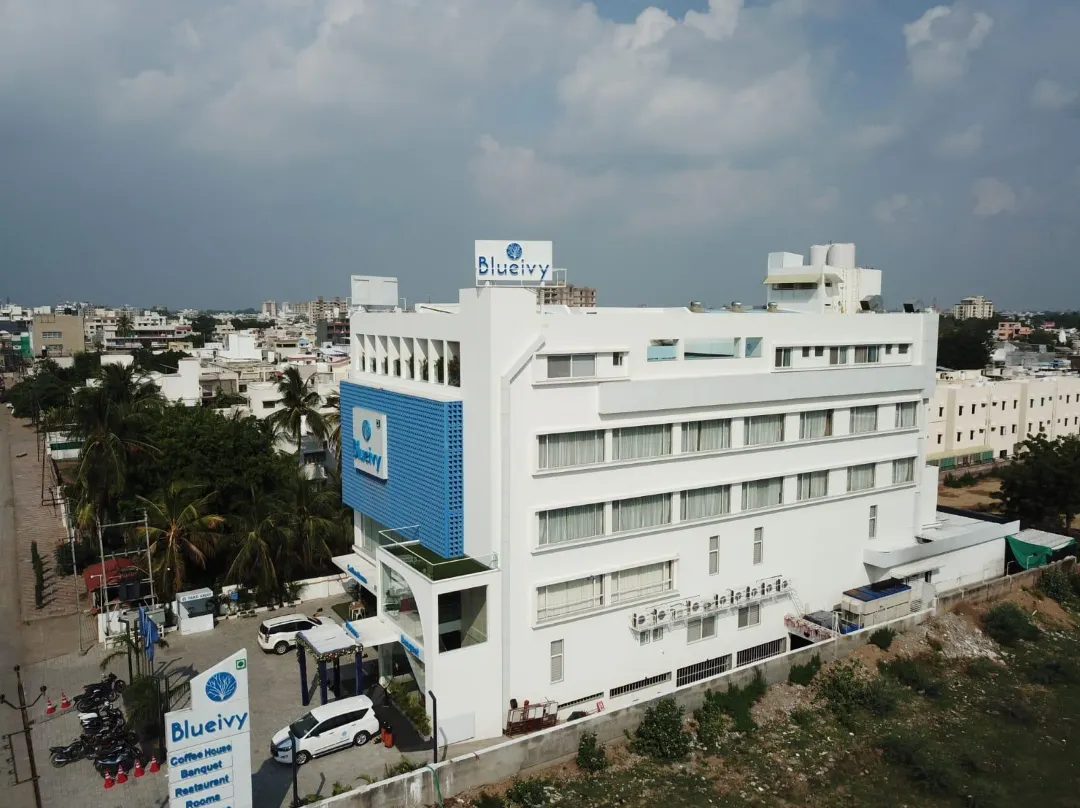 Hotel Blueivy Anand - Anand