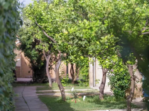 Tenuta Margherita Agricola - Salento, Italien