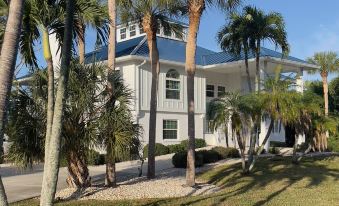 Luxury Island Escape @ Palm Tree Villa: Private Rooftop Deck ...