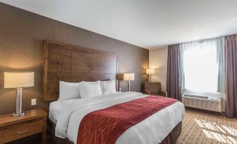 Comfort Inn - Gander 후기, 가격 2024 갠더 호텔 추천 | 트립닷컴