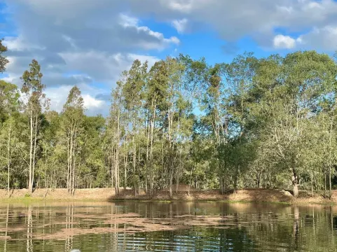 Seehorse Meadows, A Farm Stay In Churchable! - Queensland