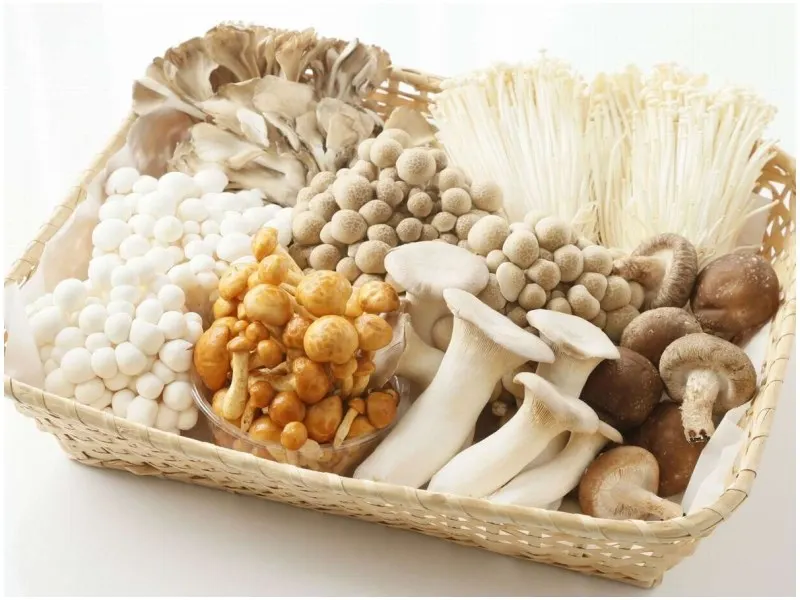 Tamagawa Onsen - Kazuno