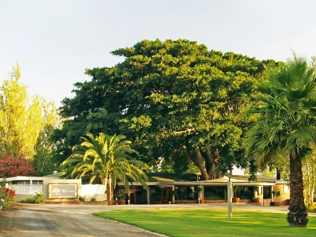 Damas - West-Kaap