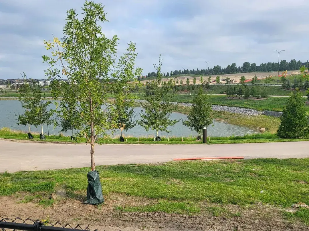 La Vue Sur L'eau à Rockland - Calgary