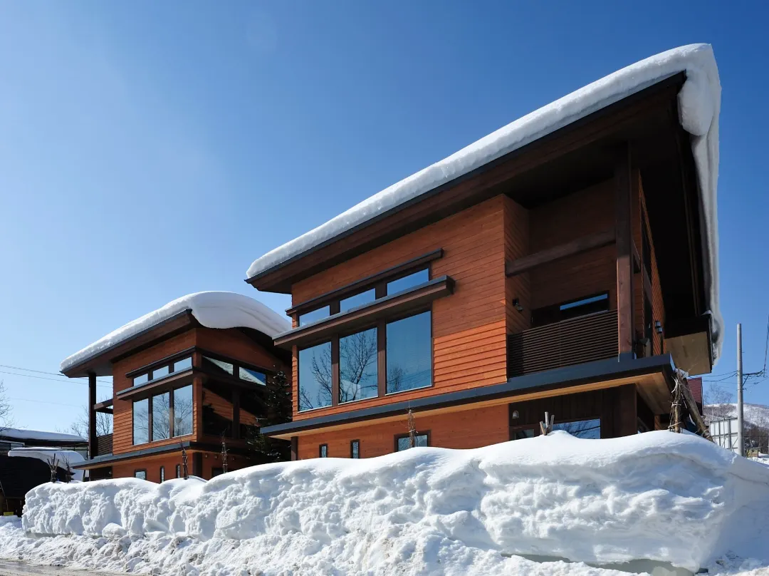 Tsubaki Tsubaki - Niseko