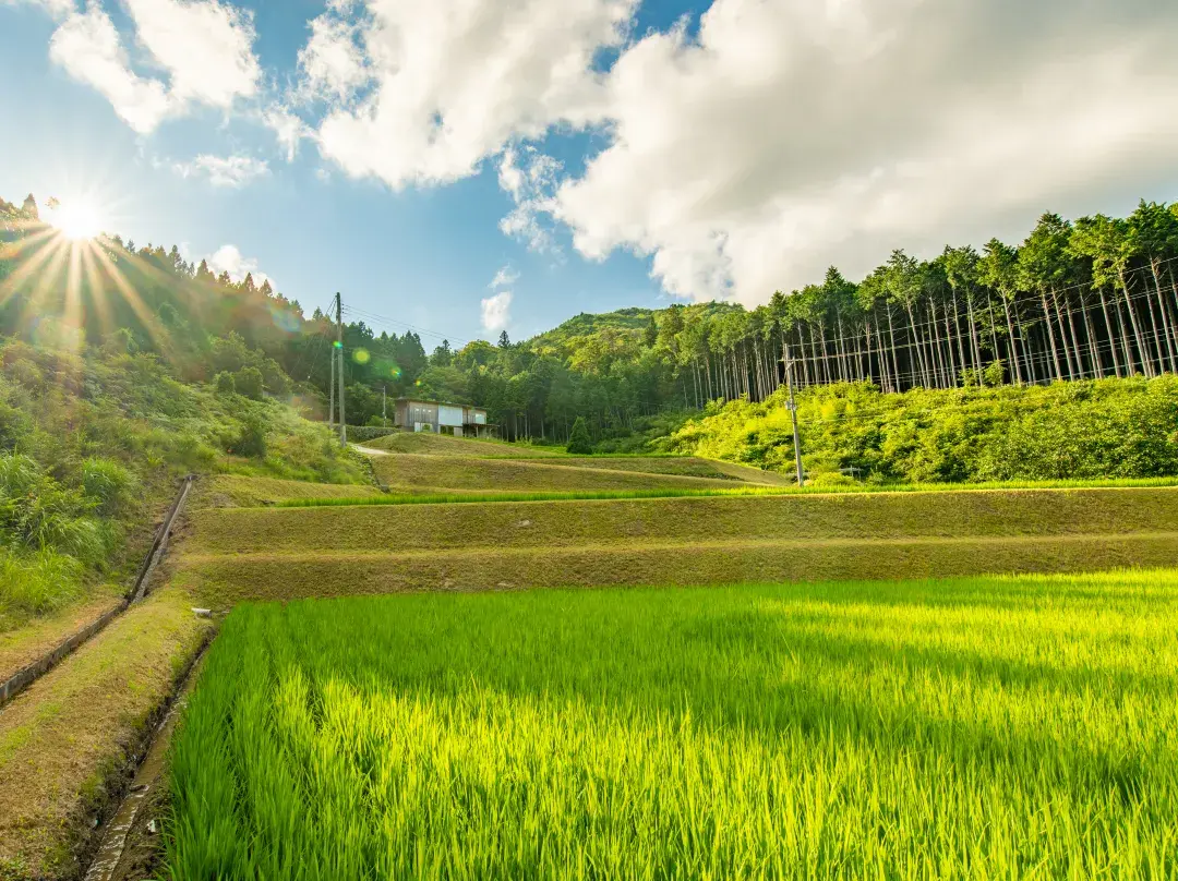 Nipponia Shitsukawa Sky Farm - 丹波篠山市