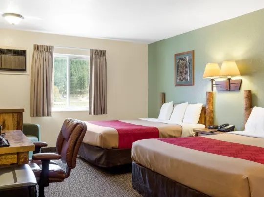Econo Lodge, Downtown Custer Near Custer State Park And Mt Rushmore - Custer, SD