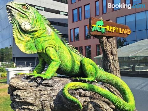 Casuta Bradulet - Aeroport Otopeni & Therme,Corbeanca - Updated Prices ...