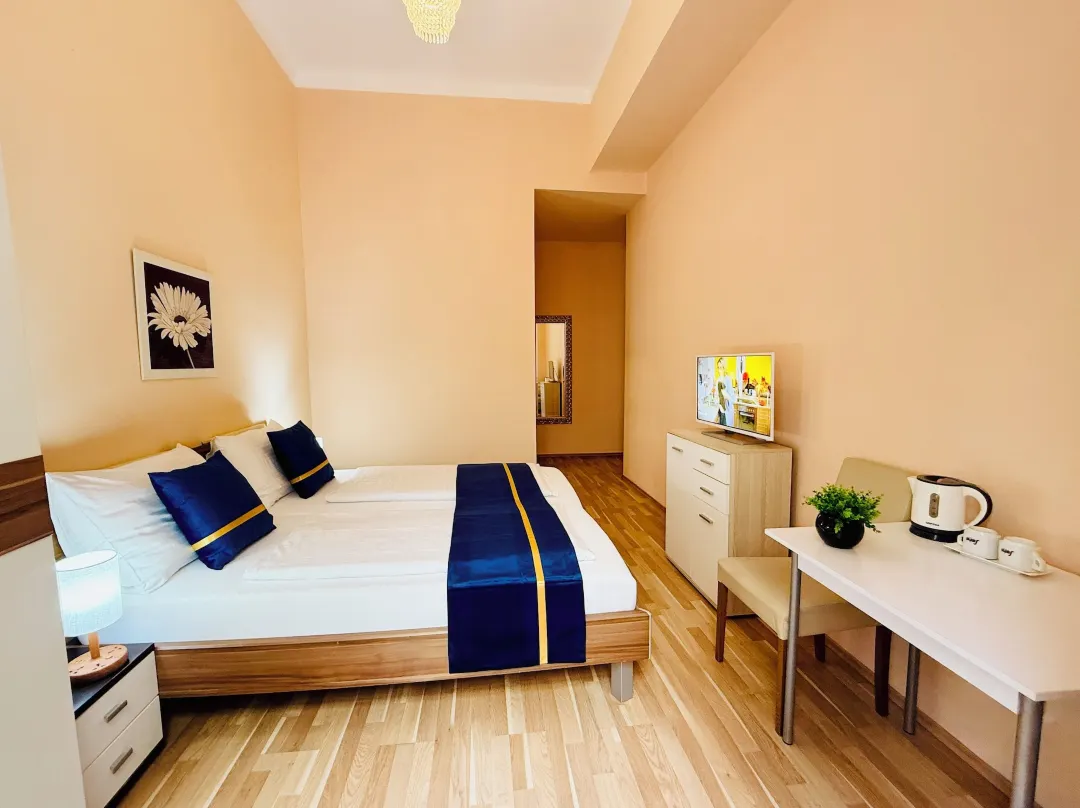 Pension Liechtenstein - Viena