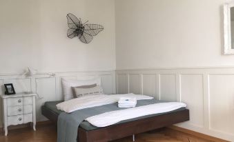Casa Schilling: 4 Charming Rooms in the Best Location in Saint Gallen ...