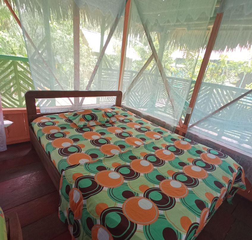Hostal Búho Amazonas Tours - Amazonas