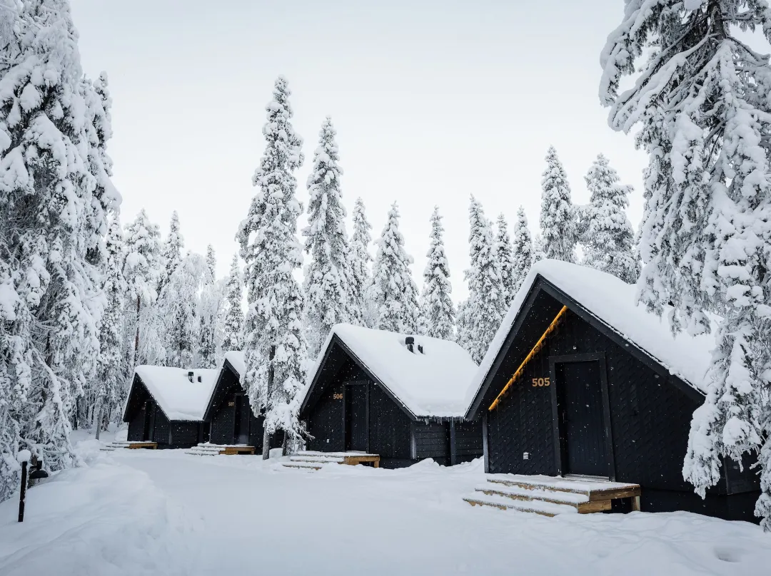 Vaattunki Wilderness Resort - Lapland