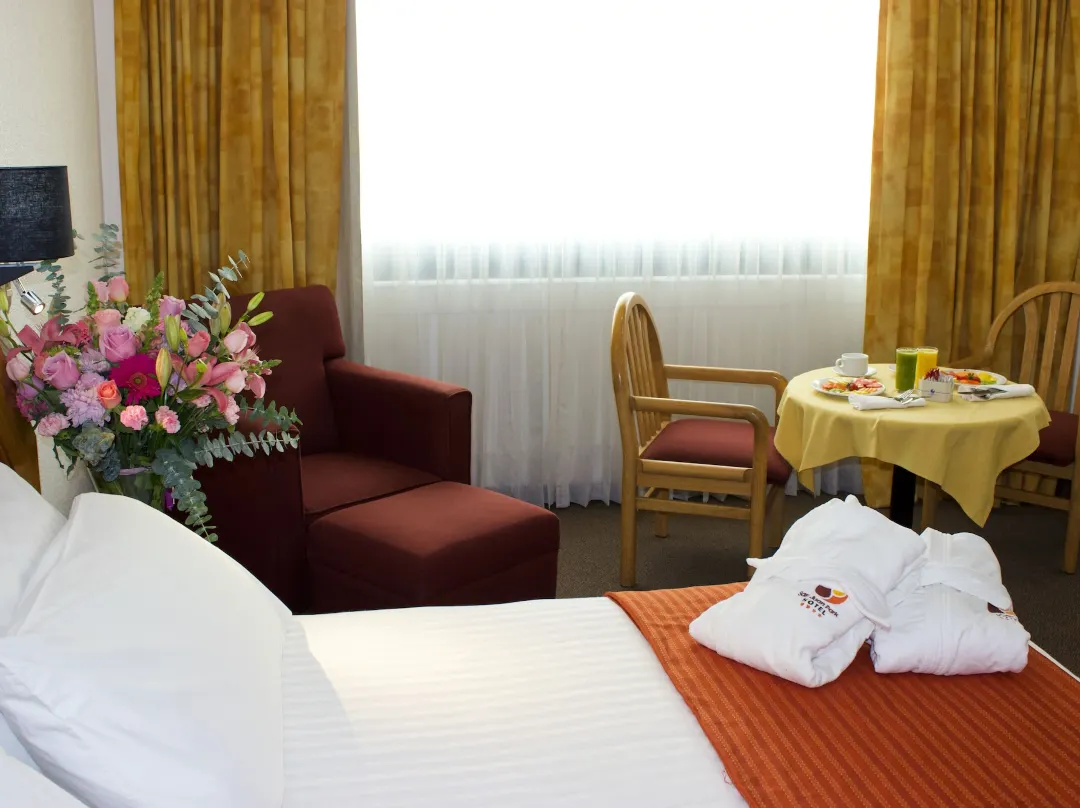 San Juan Park Hotel - San Juan del Río