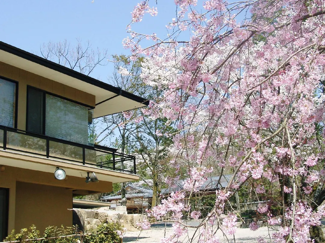 Yamagami Onsen Yunomotokan - 土岐市