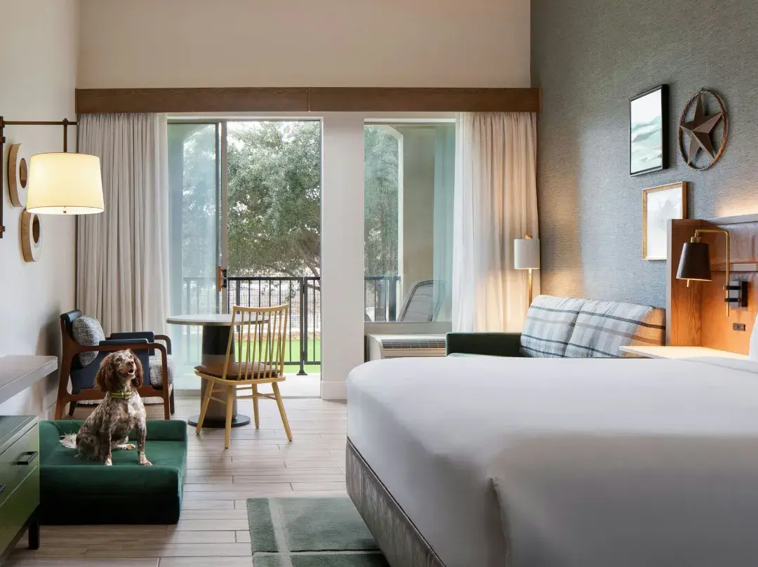 Sol Cypress, San Antonio, A Tribute Portfolio Hotel - San Antonio