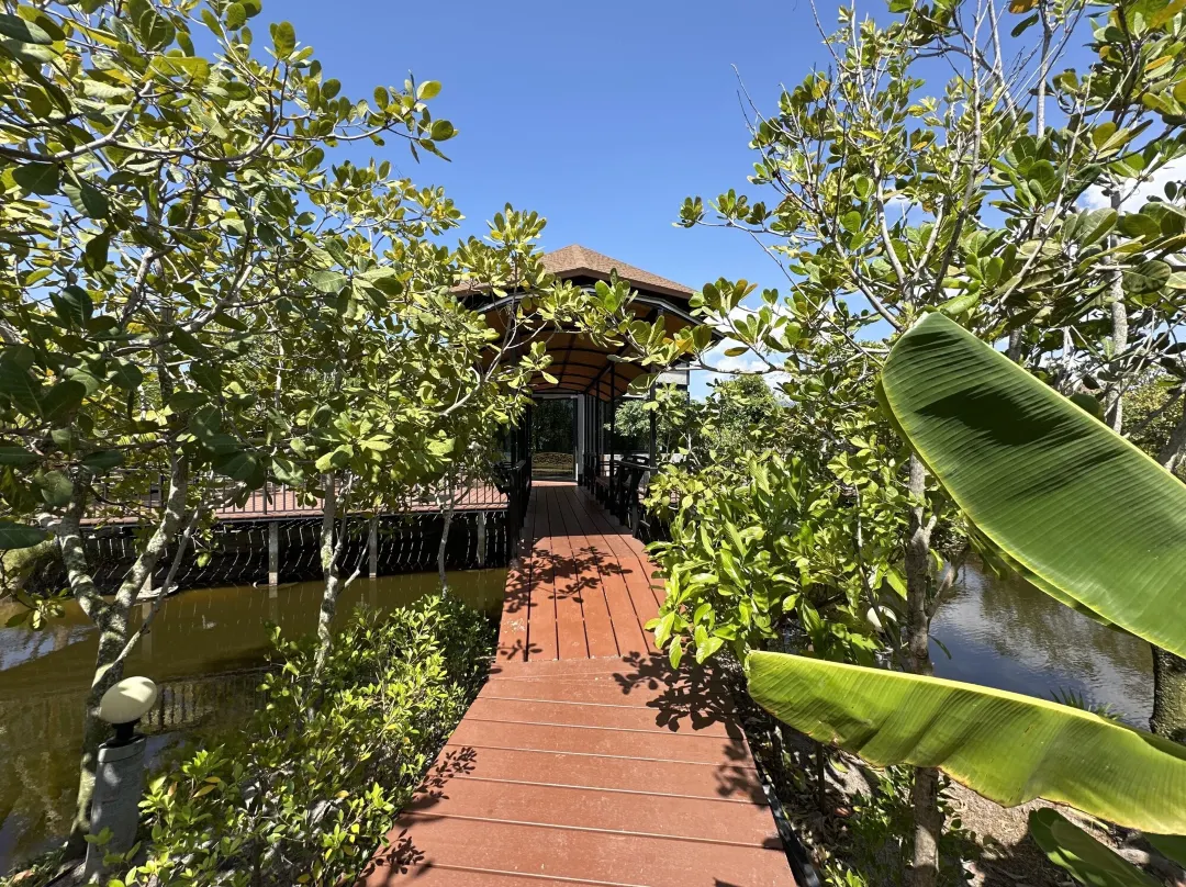 The Beatles Lagoon - Phuket