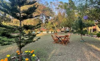 皮利比特地球之家 - 2026 布倫布爾酒店訂房人氣優惠及住客評價｜Trip.com